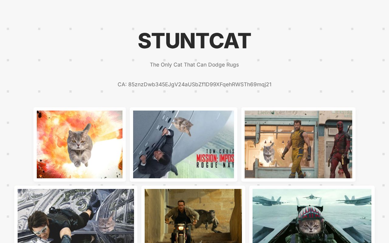 STUNTCAT